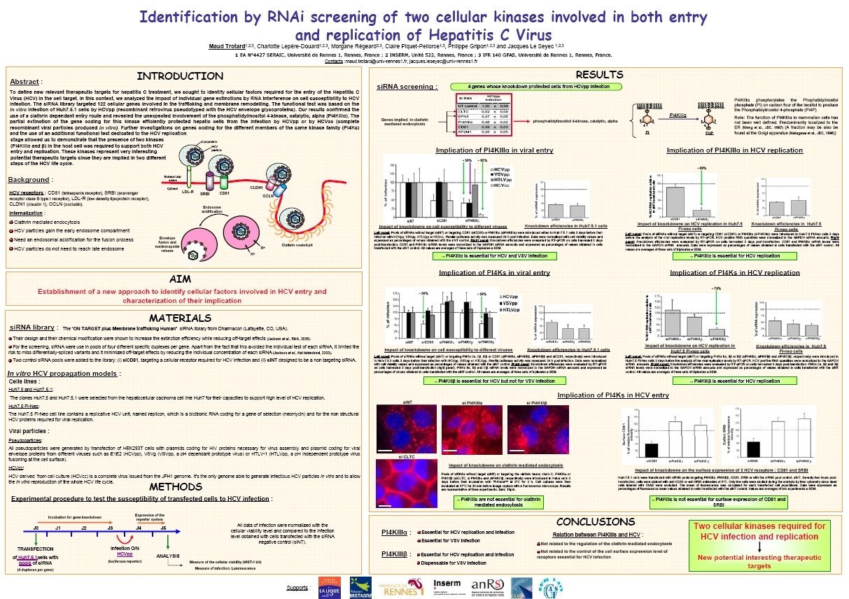 2016 Academic Poster Design Week 2 – #SciFund Challenge